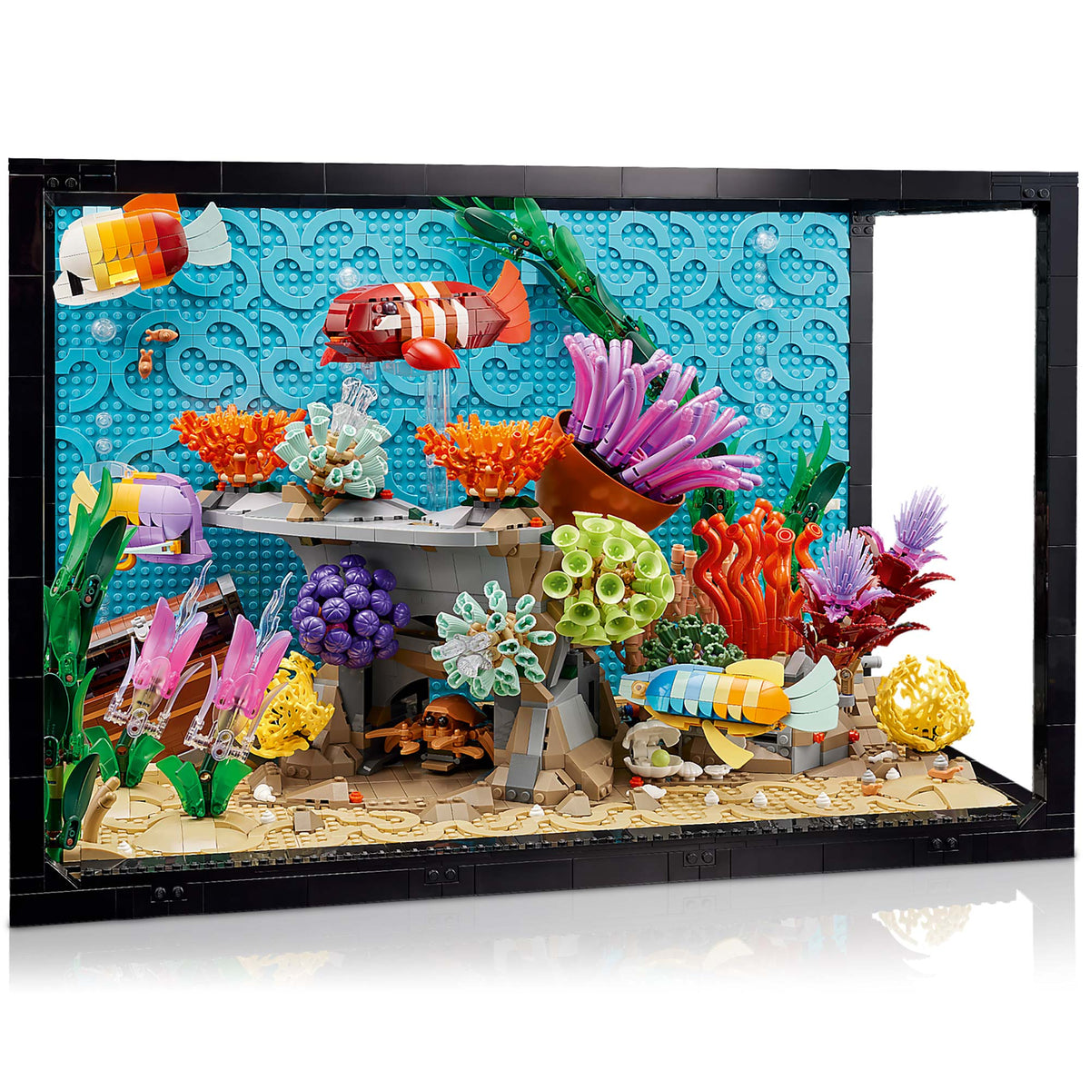 Display Case for LEGO 10366 Tropical Aquarium | iDisplayit USA ...
